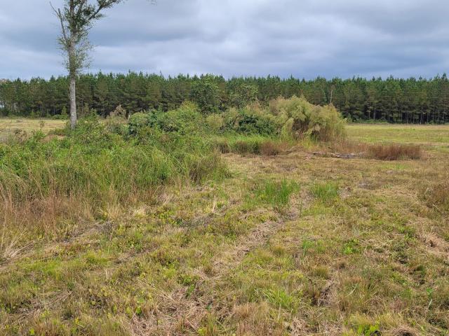88 Rogers Break Road