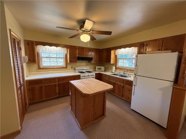 88 Shaffer Drive