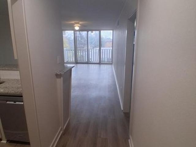 8906 Ilona Ln Apt 5, Houston, TX 77025