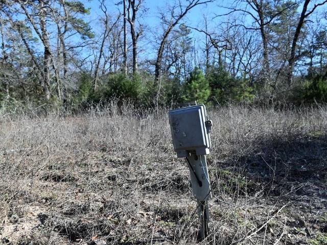 8900 Farm to Market 229, Grapeland, TX 75844 | MLS #33786 | Compass