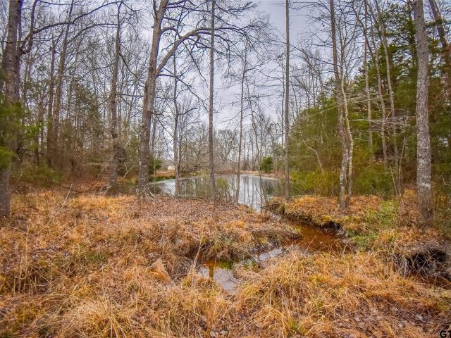 8903 Athens, TX 75752 | MLS #26005
