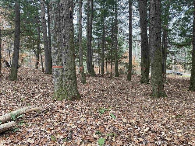 890 Baker Turn Rd Lot 2092, Hartford, VT 05059
