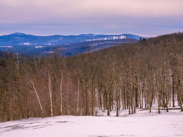 890 Bald Mountain Road