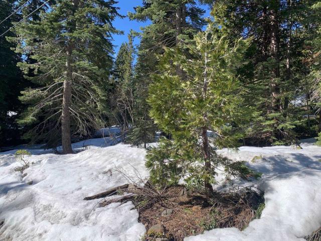890 Bunker Dr, Tahoe City, CA