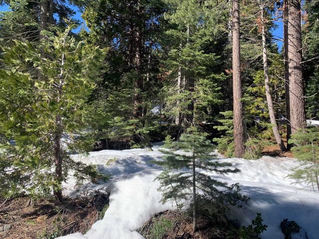 890 Bunker Dr, Tahoe City, CA 96145 | MLS #20260 | Compass