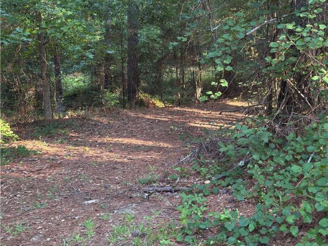 890 Dunklin Bridge Road