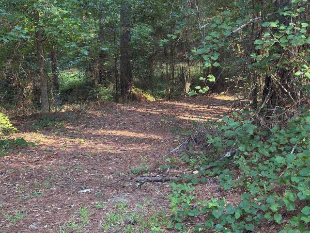 890 Dunklin Bridge Road