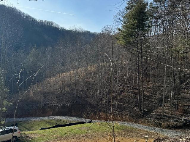 890 Fisher Branch Road