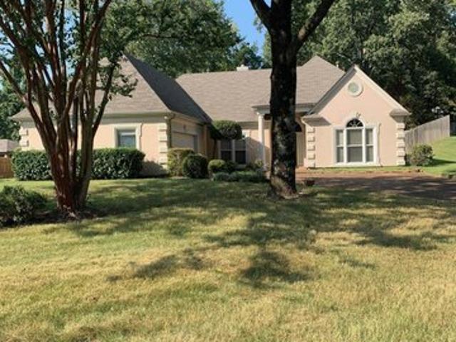 8916 Cedar Mills Cv, Memphis, TN 38016