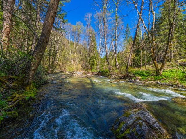 8916 Reading Creek Rd, Douglas City, CA 96024 | MLS #26 1532 | Compass