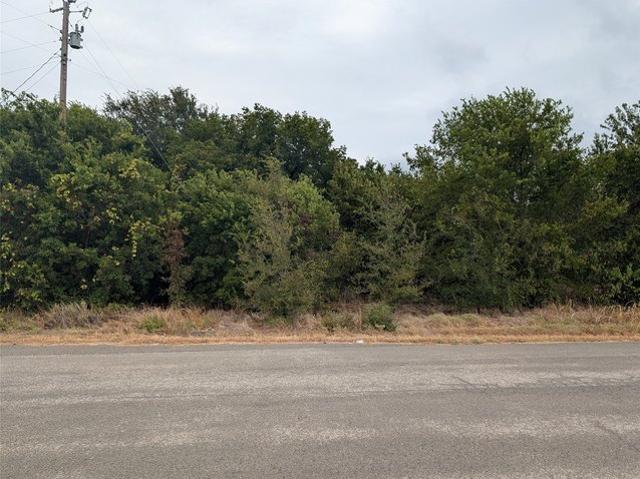 8919 Cartwright Dr, Cresson, TX 76035