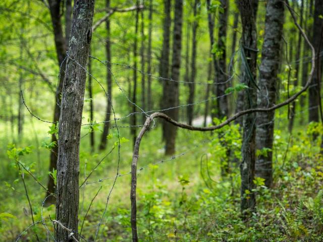 891 Bushy Head Rd, Cherry Log, GA 30522 | MLS #429793