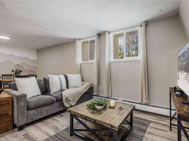 891 Fairview Blvd, Unit 20, Breckenridge, CO 80424 | MLS #S1068