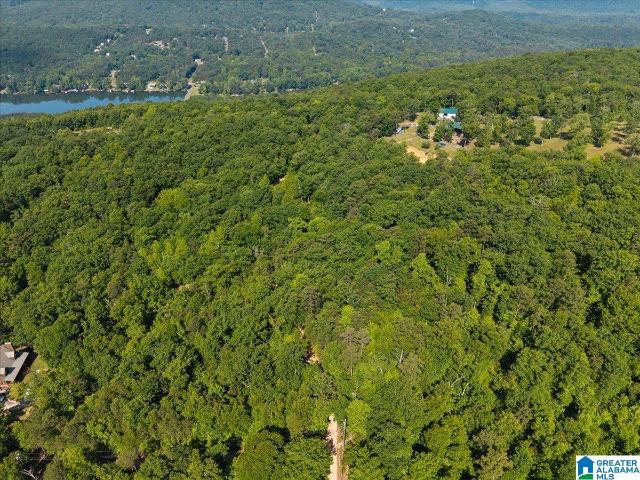 8924 Pine Mountain Road # na