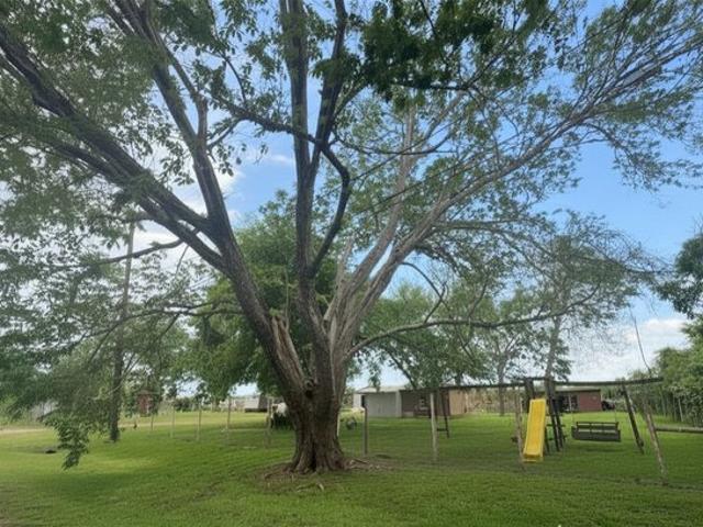 8925 Spruce St, Hitchcock, TX 77563
