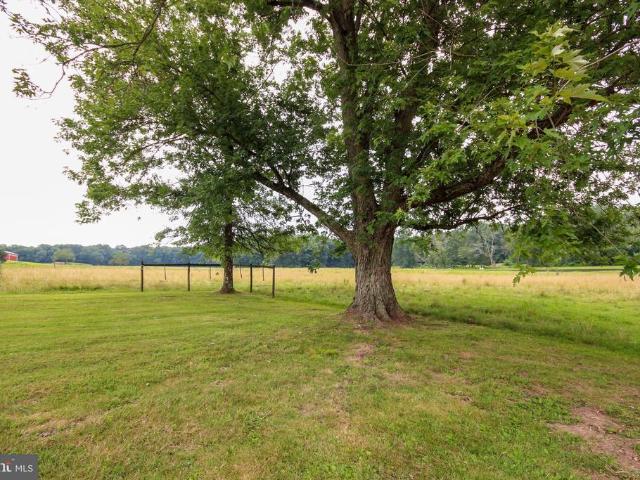 892 Deer Run Road