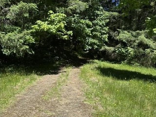 89366 Nelson Mountain Rd, Walton, OR 97490