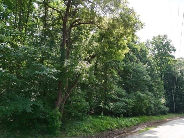 893 Hickory Hills Road