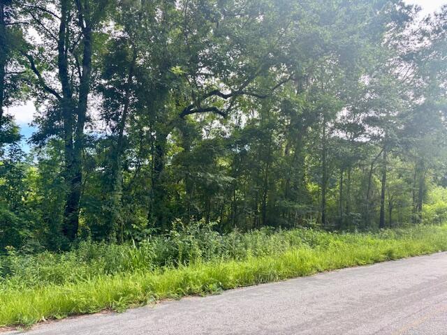 8946 Anderson Rd, Adams Run, SC 29426 | MLS #25017 | Compass
