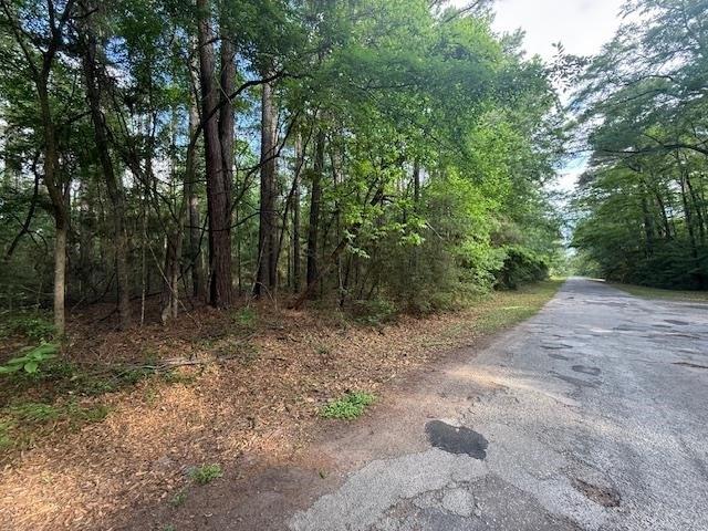 894 Dr Lot Bowline, Hemphill, TX 75948