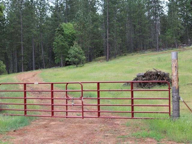 8954 Swiss Ranch Rd, Mountain Ranch, CA 95246