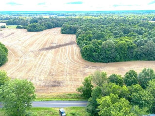 8950 Old Mayfield Rd, McCracken, KY 42027