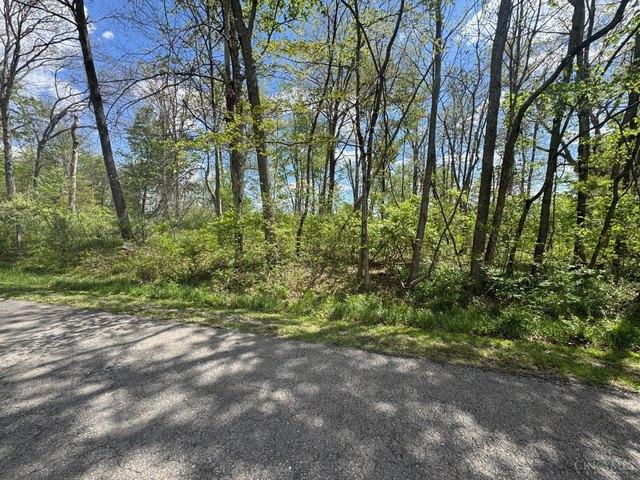 895 Dresden Dr, Fayetteville, OH 45118