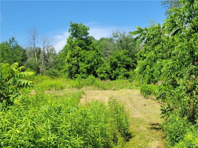 8961 Dinglehole Road