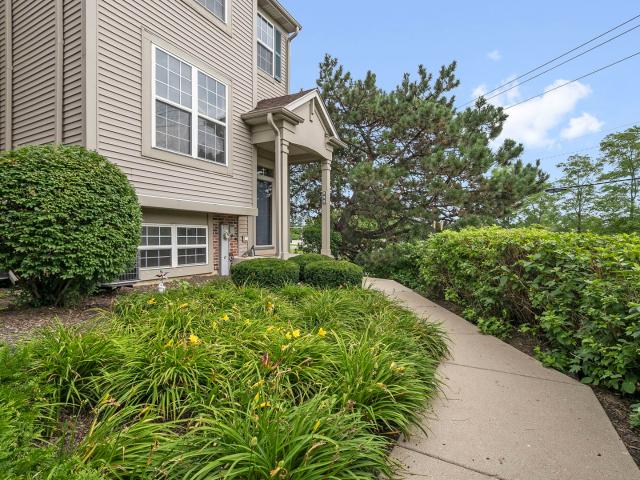 896 Cherry Creek Drive