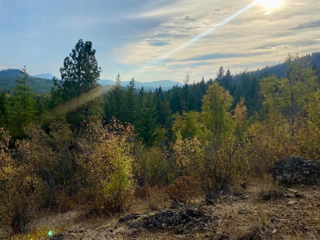 896 Rocky Mountain Rd, Newport, WA 99156 | MLS #202612