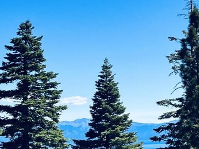 8974 Woodland Dr, Tahoma, CA 96142
