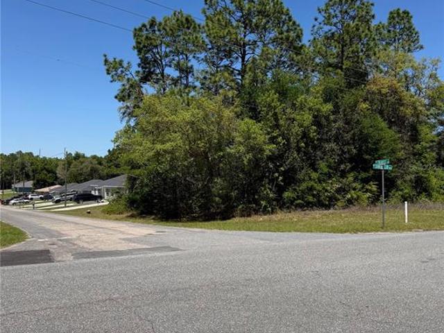 8975 N Travis Dr, Citrus Springs, FL 34434 | MLS #O6398