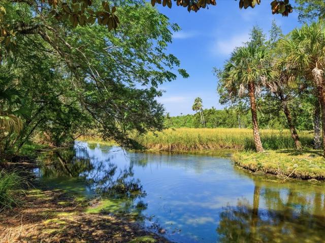 8979 W White Dogwood Dr, Homosassa, FL 34448 | MLS #W7885 | Compass