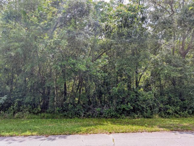 8970 N Joann Dr, Citrus Springs, FL 34434 | MLS #R11099