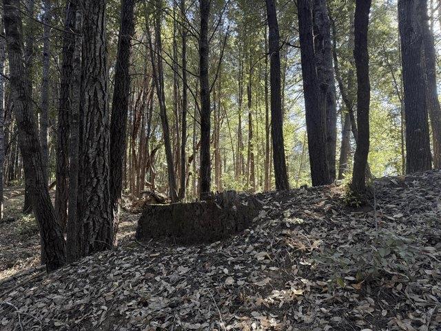 8989 Dooty Ridge Rd, Garberville, CA 95542