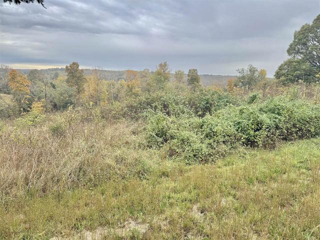 8981 Woodburn Allen Springs Road