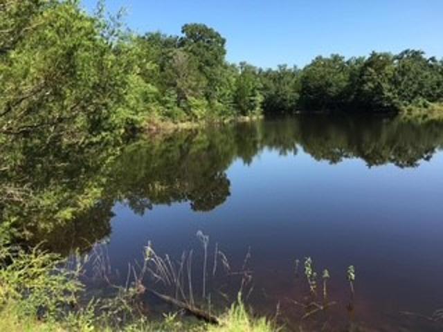 898 Lcr 898, Jewett, TX 75846 | MLS #40402 | Compass