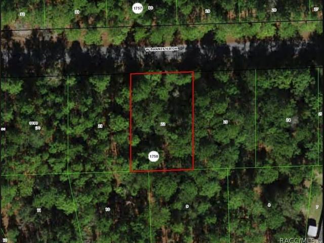 898 W Bannister Dr, Citrus Springs, FL 34434