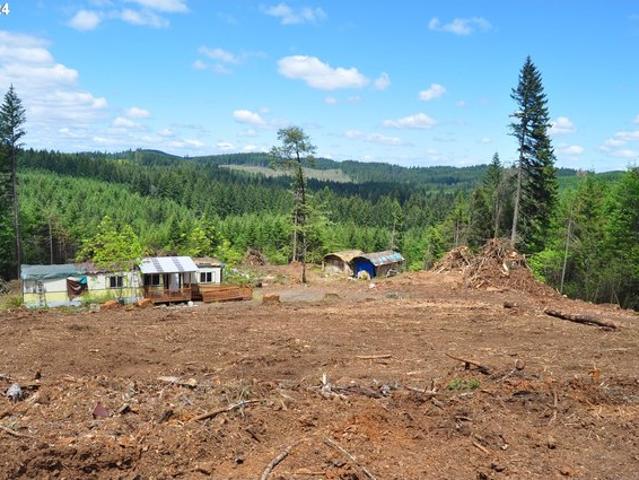 89975 Sheffler Rd, Elmira, OR 97437