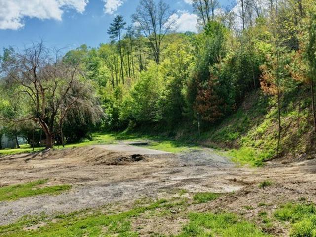 8991 Jones Mountain Rd, Union, WV 24983
