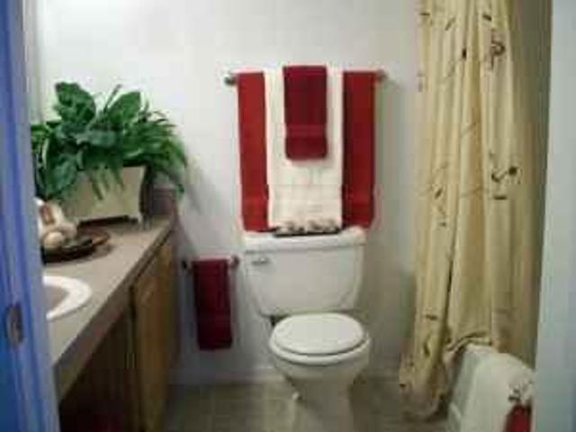 $899 / 1br May Free !Amazing Deal ! Furnished ! Orlando