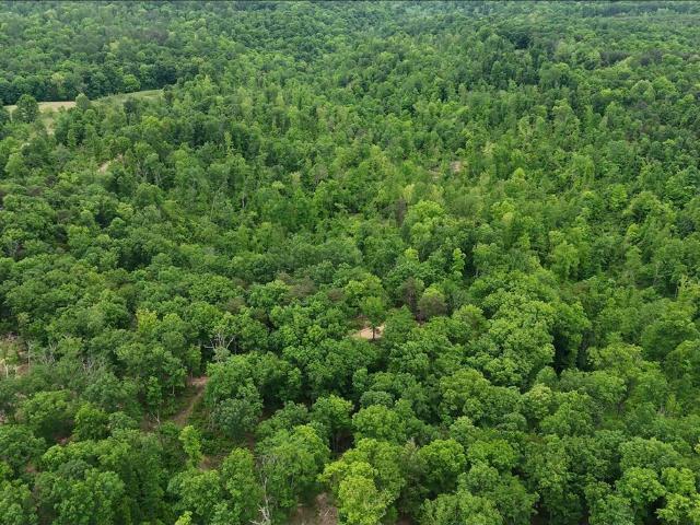 89 AC Cub Run Road