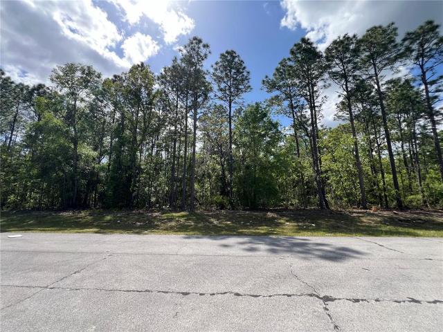89 SW Circle, Ocala, FL 34473 | MLS #OM699087