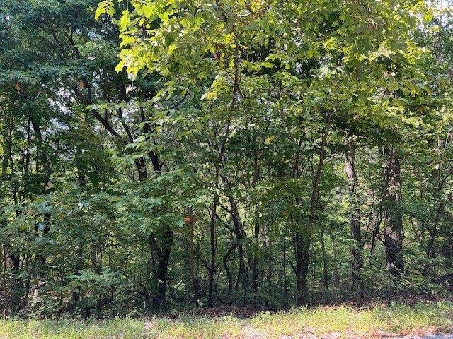 89 Sunrise Ave Lot 24, Holiday Island, AR 72631