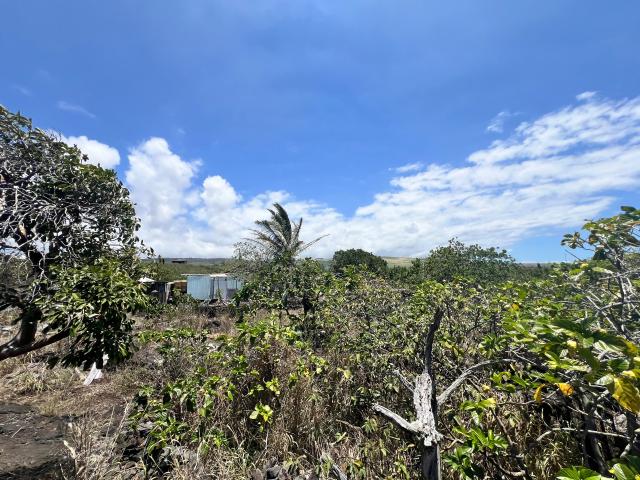 8 Mark Twain St, Naalehu, HI 96772 | MLS #729345
