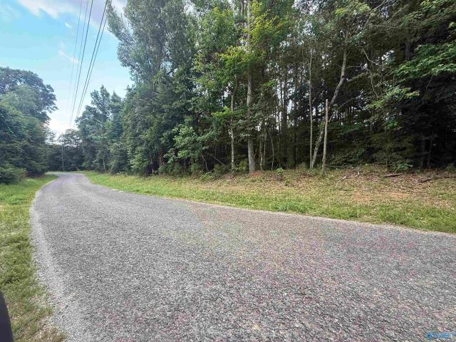 8 acres Bishop Mountain Road