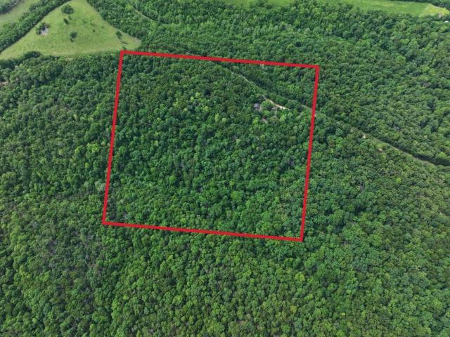 8 Acres Stone Road