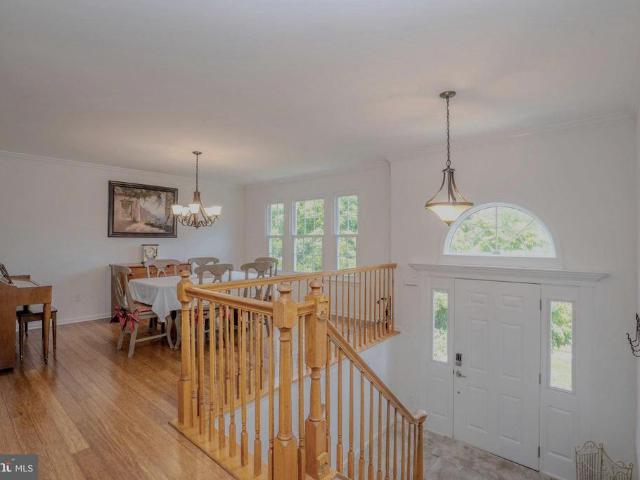 8 Amberfield Road