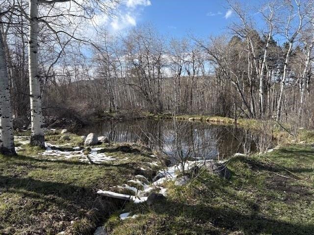 8 Buck Trail Rd, Story, WY 82842
