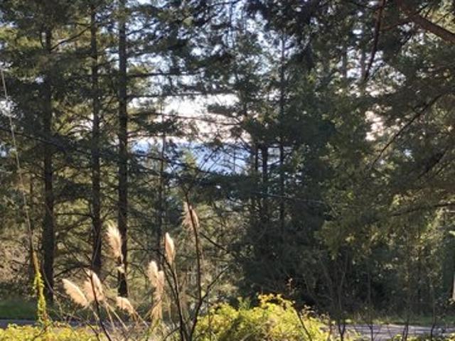 8 Buckhorn Ct, Shelter Cove, CA 95589
